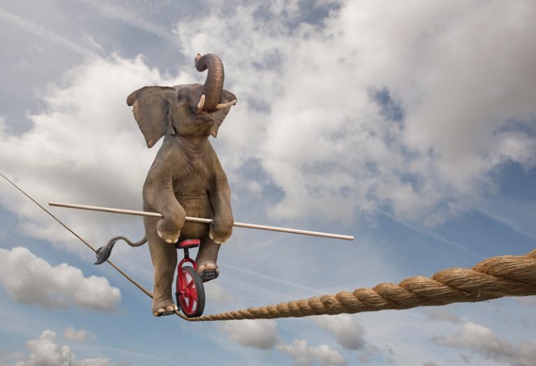 The rope walker - Mugendi